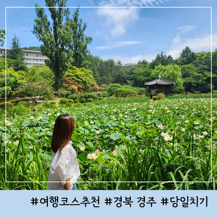 경주 뚜벅이 당일치기 여행 코스 보문정 황리단길 등 네이버 블로그