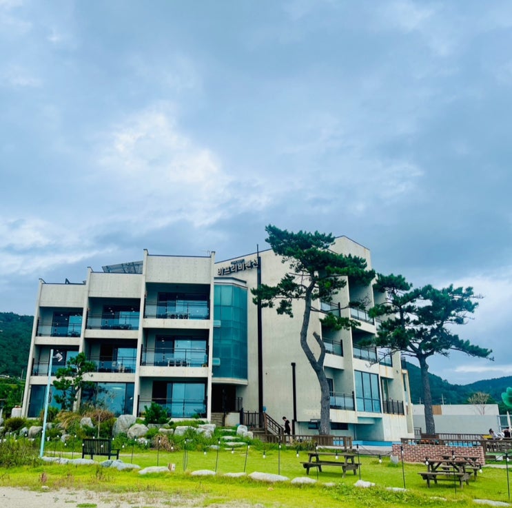 영덕숙소오션뷰펜션 가성비가 갑인 비프리비 펜션 네이버 블로그