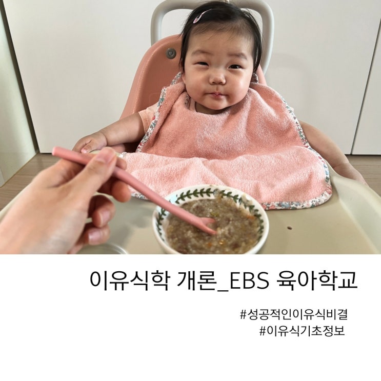 이유식학 개론 Ebs 육아학교 이유식 시작에 도움이 될 정보 내용정리 네이버 블로그