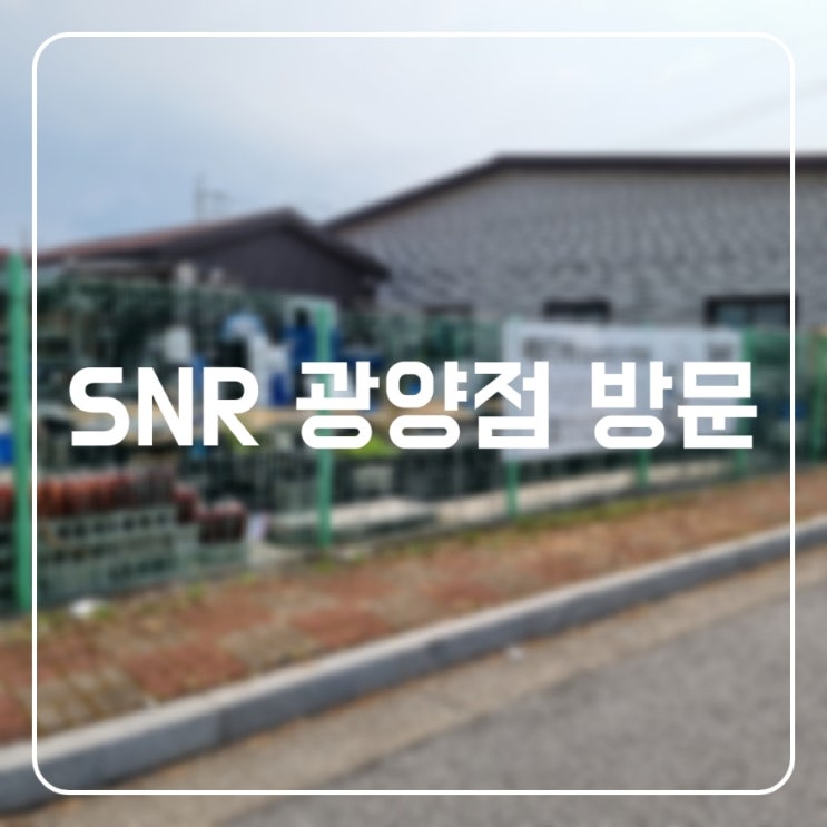 SNR 광양점 방문 : 네이버 블로그