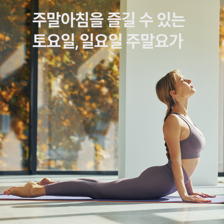 주말아침을 즐길 수 있는 토요일일요일 주말요가 구파발 요가 지축요가 연신내요가 은평구요가 진관동요가 네이버 블로그