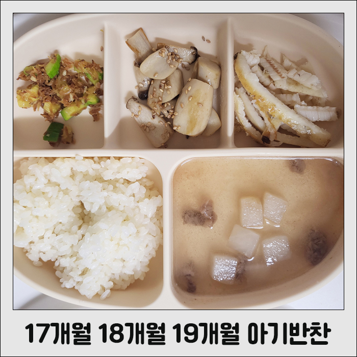 17개월 18개월 19개월 아기반찬 아기 유아식 식단 모음 네이버 블로그