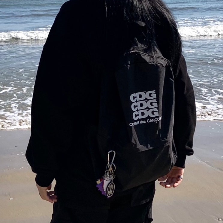 [CDG] CDG 백팩 / 꼼데가르송 백팩 리뷰 : 네이버 블로그