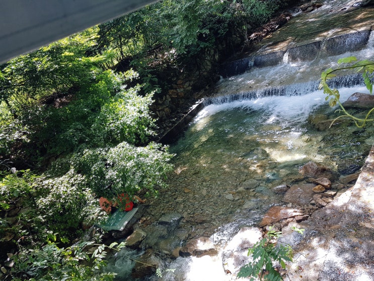 동학사 계룡산그린콘도 펜션 계룡산계곡바로앞펜션 동학사펜션 동학사단체펜션 동학사모임펜션 동학사세미나 동학사워크샵 동학사mt