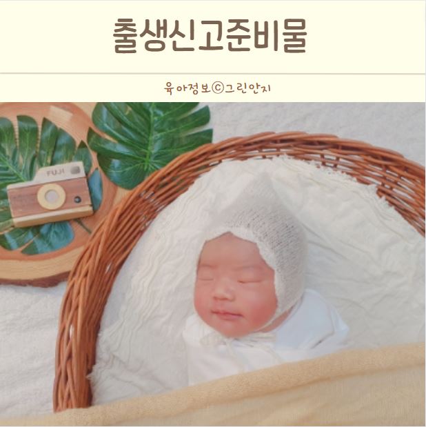 출생신고준비물 신고서 작성 양식 기간 부모가정한 등록기준지 네이버 블로그