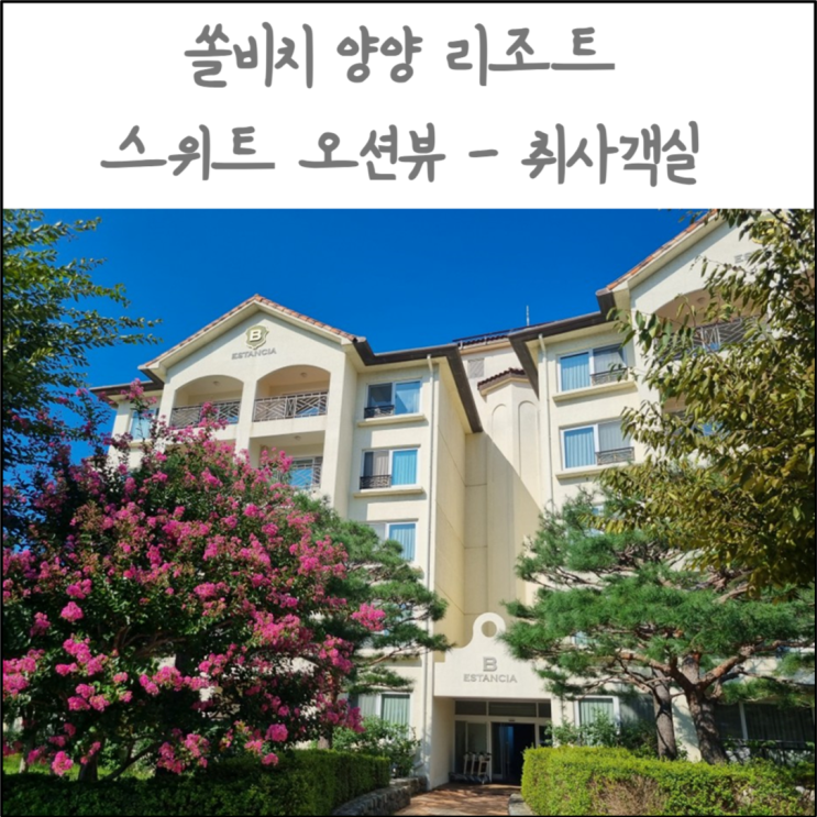 아이와 함께하는 쏠비치 양양리조트 스위트 오션뷰 취사객실 후기 네이버 블로그
