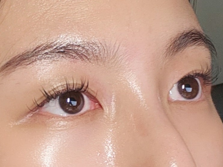 강남 속눈썹 연장 잘하는 라피네 뷰티 스튜디오 짧고 숱없는 속눈썹도 성공했어요 네이버 블로그