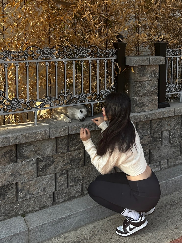 애슬러제룩 몸매보정레깅스 기능성 힙업 레깅스 추천 : 네이버 블로그