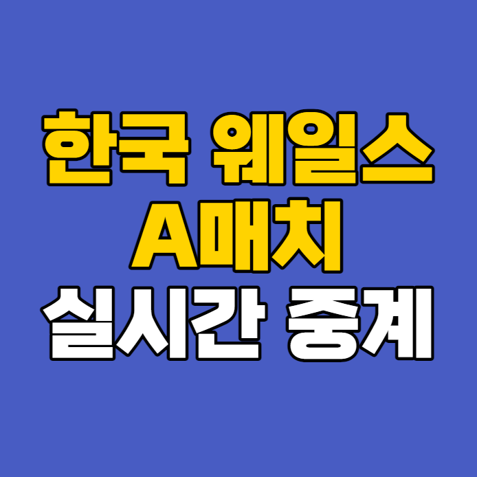 한국 웨일스 축구 생중계 A매치 친선경기 9월 8일 대한민국 웨일즈전 생방송 채널 국가대표팀 친선경기 보는곳 좌표 손흥민 김민재