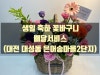 생일 축하 꽃바구니 배달했습니다대전 대성동 은어송마을2단지 네이버 블로그