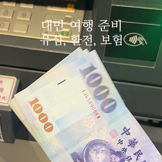 대만 대만 여행 준비하기 나무커머스 유심 트래블월렛 환전 마이뱅크 여행자 보험 네이버 블로그