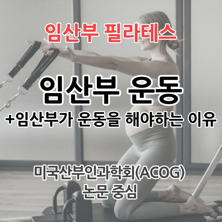 임산부필라테스 임산부 운동 집에서 할 수 있는 임산부 운동 임산부운동처방사 울산필라테스 옥동필라테스 네이버 블로그