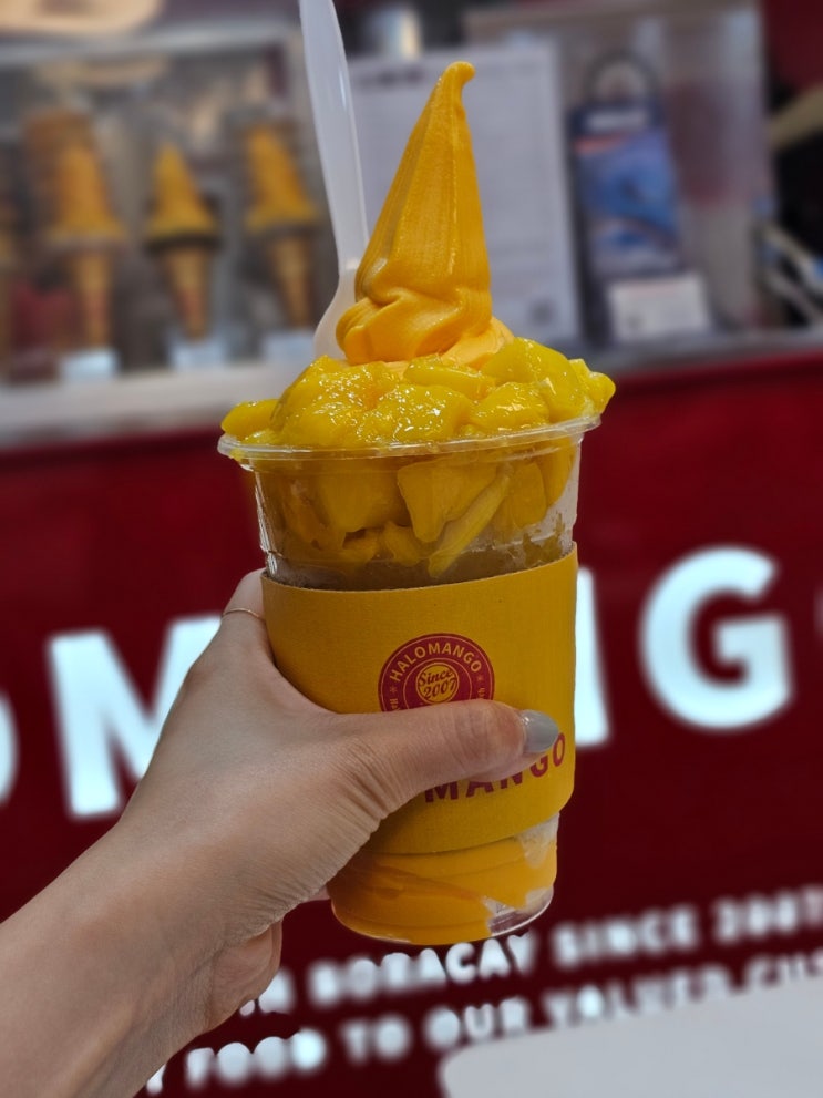 [보홀여행] 필리핀 보홀 찐맛집 추천 할로망고(halomango) 2번 다녀옴 (위치, 메뉴 추천, 가격) : 네이버 블로그