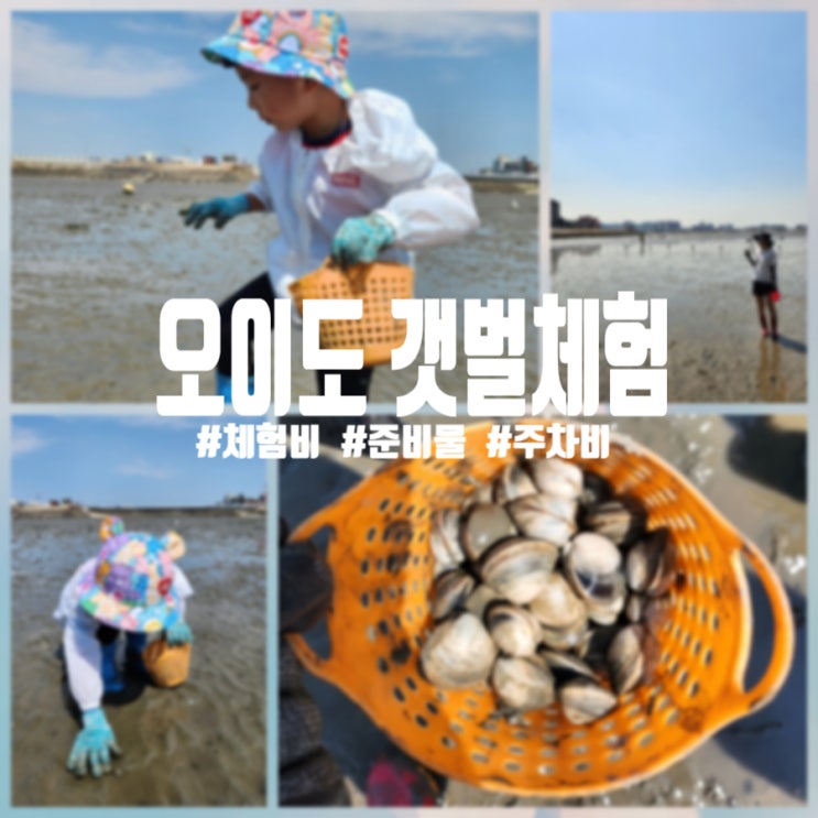 시흥 오이도 어촌체험마을 리뷰체험비 대여비 샤워장 물 때 시간표 주차비│5살 6살 갯벌체험 솔직한 후기 네이버 블로그