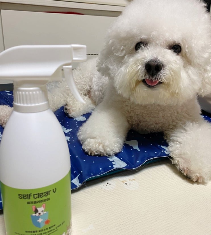 [셀프클리어브이] 강아지 배변 냄새 소독 살균 탈취제 : 네이버 블로그