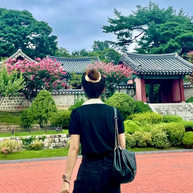 강원도 강릉 여행 코스 오죽헌 한옥 아이와 가볼만한곳 입장료 체험 시간 주차장 배롱나무 명소 꽃구경 당일치기 힐링 네이버 블로그