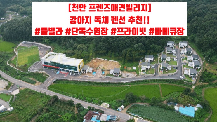 천안 프렌즈애견빌리지 강아지 독채 펜션 추천 풀빌라 단독수영장 프라이빗 바베큐장 네이버 블로그