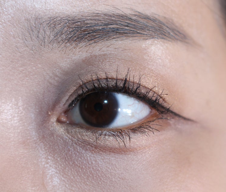 EXCEL 엑셀 스키니 리치 아이섀도우 SR06 센슈얼 브라운 : 네이버 블로그