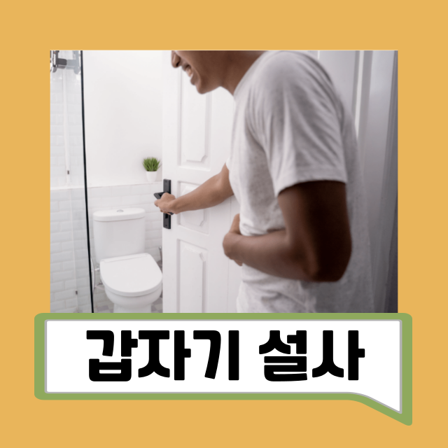 갑자기 설사 원인 및 물설사 멈추는법 물 설사에 좋은 음식 자가치료 방법 네이버 블로그