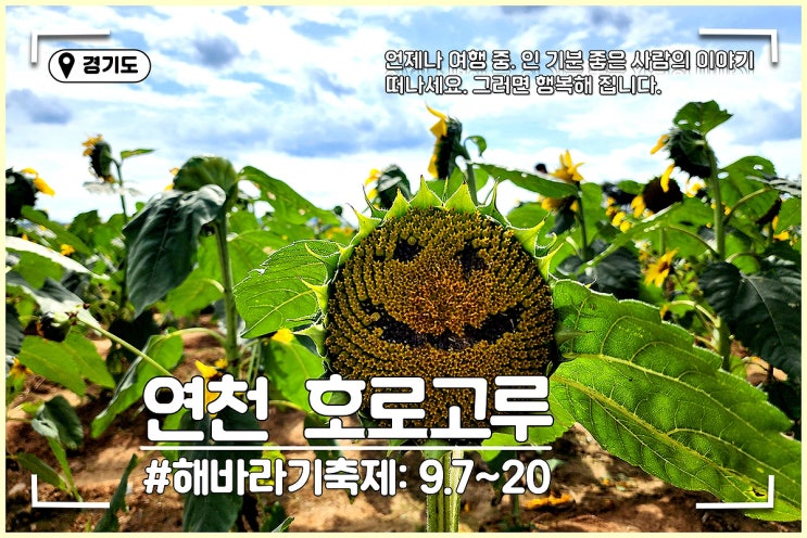 연천해바라기축제 연천 호로고루 연천 가볼만한곳 네이버 블로그