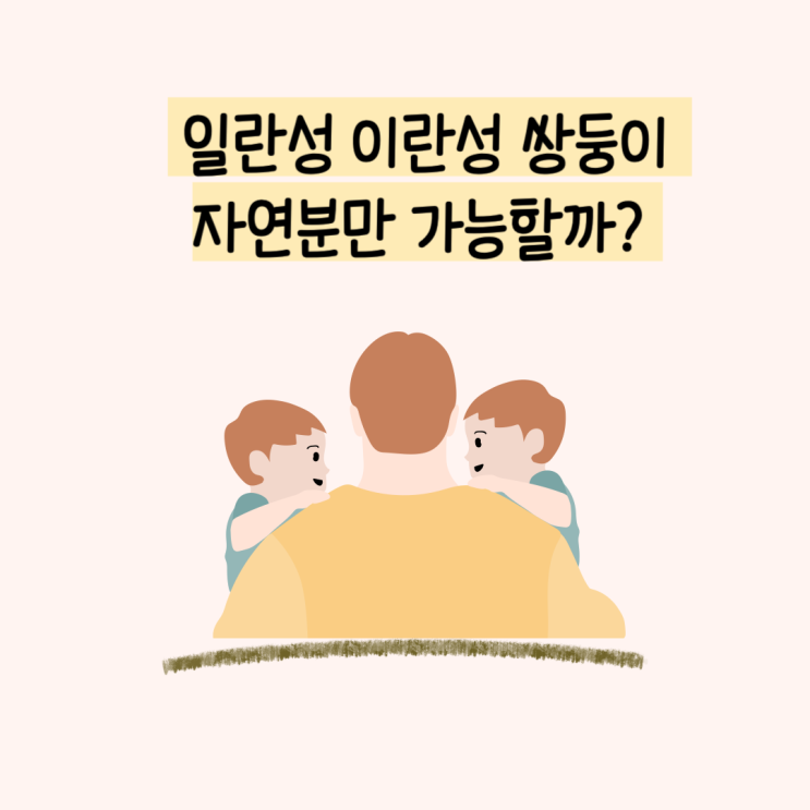 일란성 이란성 쌍둥이 자연임신 자연분만 세쌍둥이 네쌍둥이 낳는법 네이버 블로그