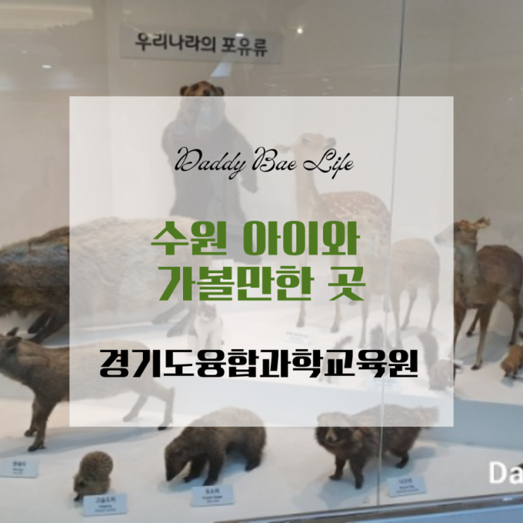 수원에서 아이와 가볼만한 곳 경기도융합과학교육원 4층 생명과학탐구실 관람 후기 네이버 블로그