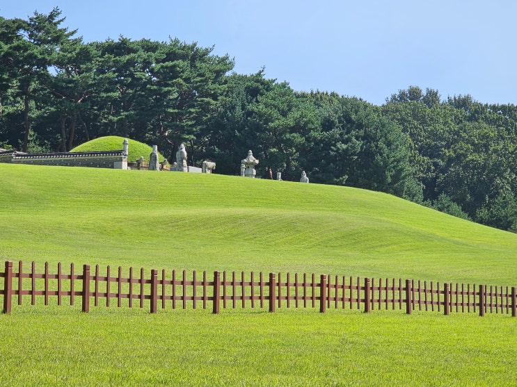 경기도 화성 아이와가볼만한곳 문화유적지 융건릉 숲속 힐링산책 역사탐방자연에 동화되다ft 입장료주차정보 네이버 블로그