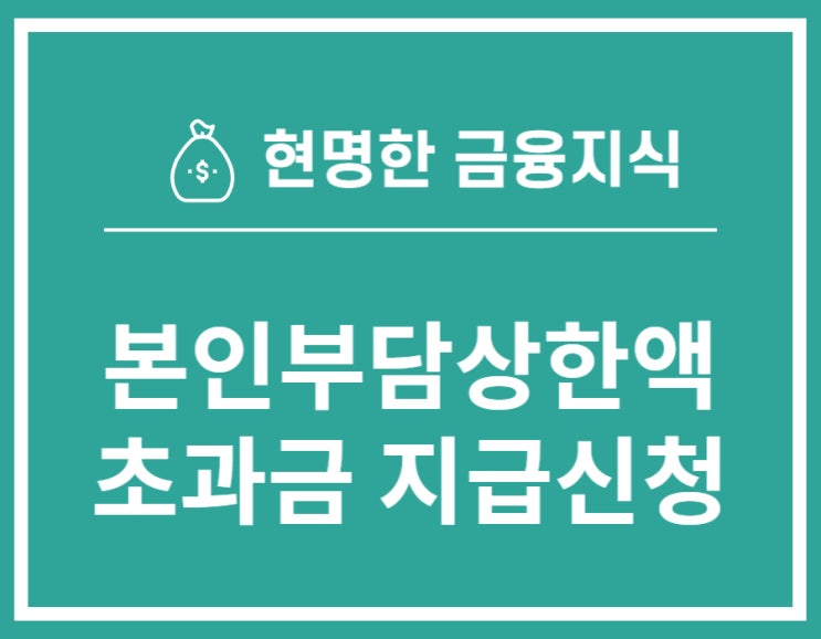 본인부담상한액 초과금 지급신청 조회 소득분위 확인 네이버 블로그