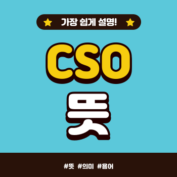 CSO 뜻 쉽게 설명! : 네이버 블로그