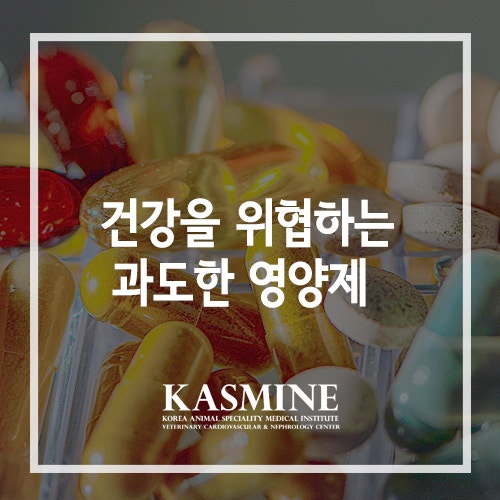 보조제(영양제)가 필수템? 오히려 남용은 아닐런지요 : 네이버 블로그