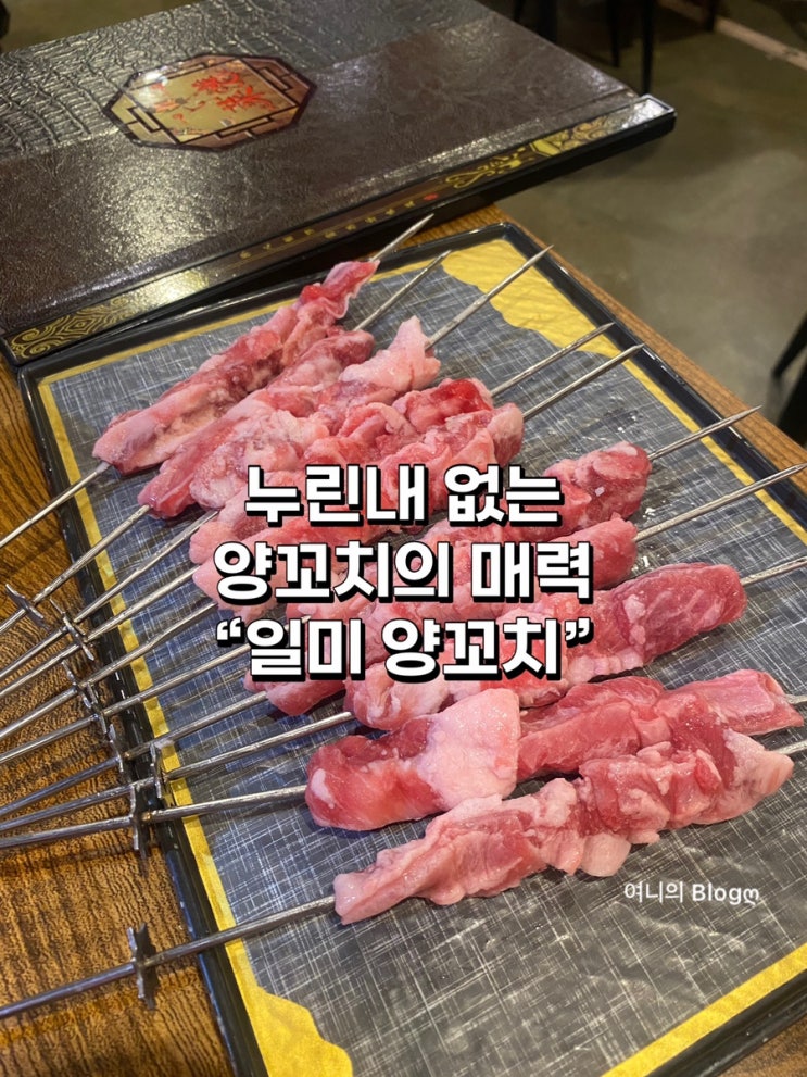 율하맛집 참새가 방앗간 들리듯이 찾게 되는 곳 일미양꼬치” 양갈비살꼬치 통오징어구이 솔직후기 네이버 블로그