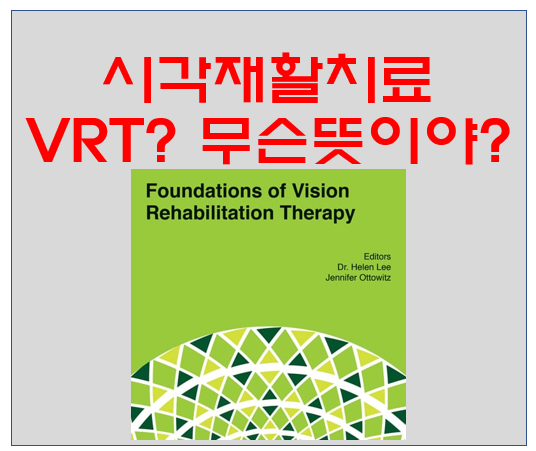 세계적으로 실제 시행하는 시각재활치료 (VRT: visual rehabilitation treatment) 프로그램 5단계 자세 ...