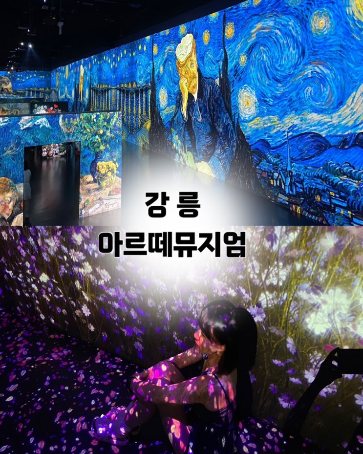 강릉가볼만한곳 부모님과 강릉여행 아이와 강릉여행 추천 아르떼뮤지엄 강릉 가격 할인 볼거리 네이버 블로그