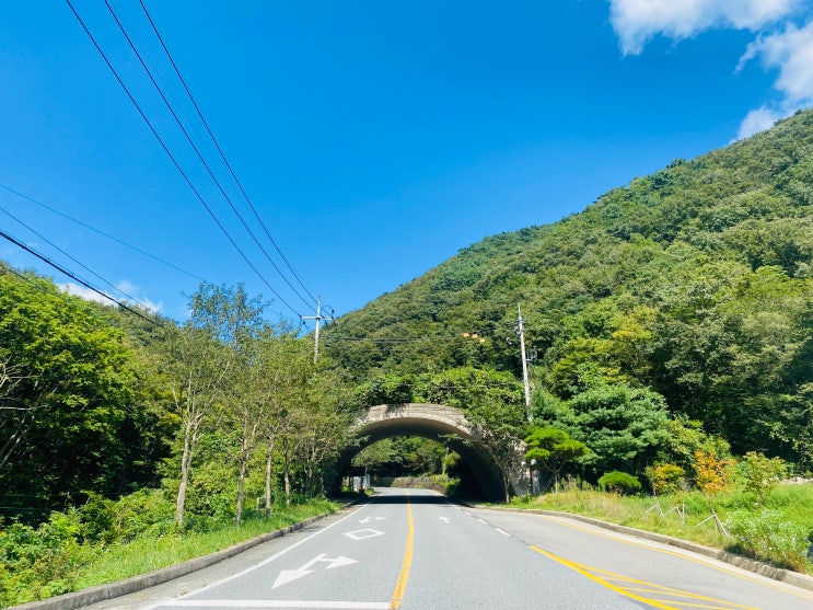 13-60_도래재자연휴양림_경남밀양_줍줍으로급하게 : 네이버 블로그