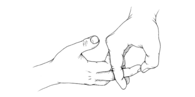 [신경계] 호프만반사Hoffmain's sign / 트롬너반사 Tromner's reflex : 네이버 블로그