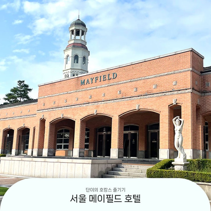 서울 호캉스 메이필드 호텔 내돈내산 방문 후기 야외정원 And 수영장 And 캐슬테라스 조식 네이버 블로그