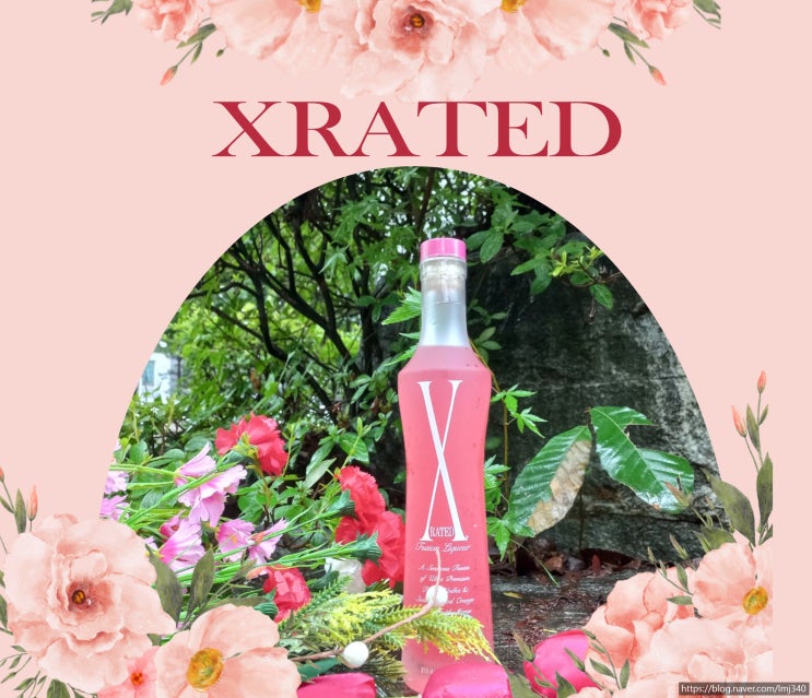 엑스레이티드 Xrated 375ml 보드카 군대 국군복지단 군마트 Px 피엑스 양주 가격 하이볼 판매처 추천 네이버 블로그