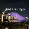 반포한강공원 피크닉 규정 반포대교 무지개분수 시간 네이버 블로그