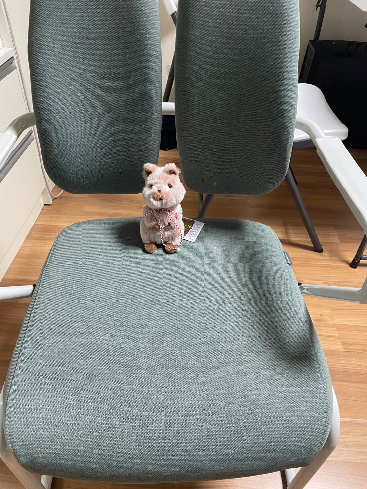 듀오백 의자 DK-073W 포그그린 실사용 후기 : 네이버 블로그