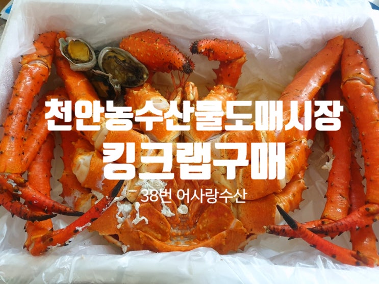 천안시농수산물도매시장 킹크랩 구매후기직산수산물시장 38번어사랑수산 킹크랩 네이버 블로그