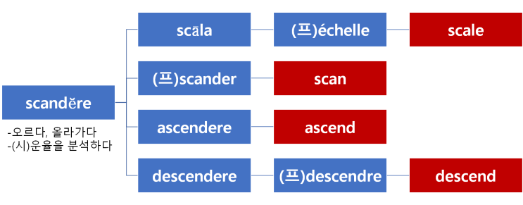 scale과 어원이 같은 단어 : scan, ascend, descend : 네이버 블로그