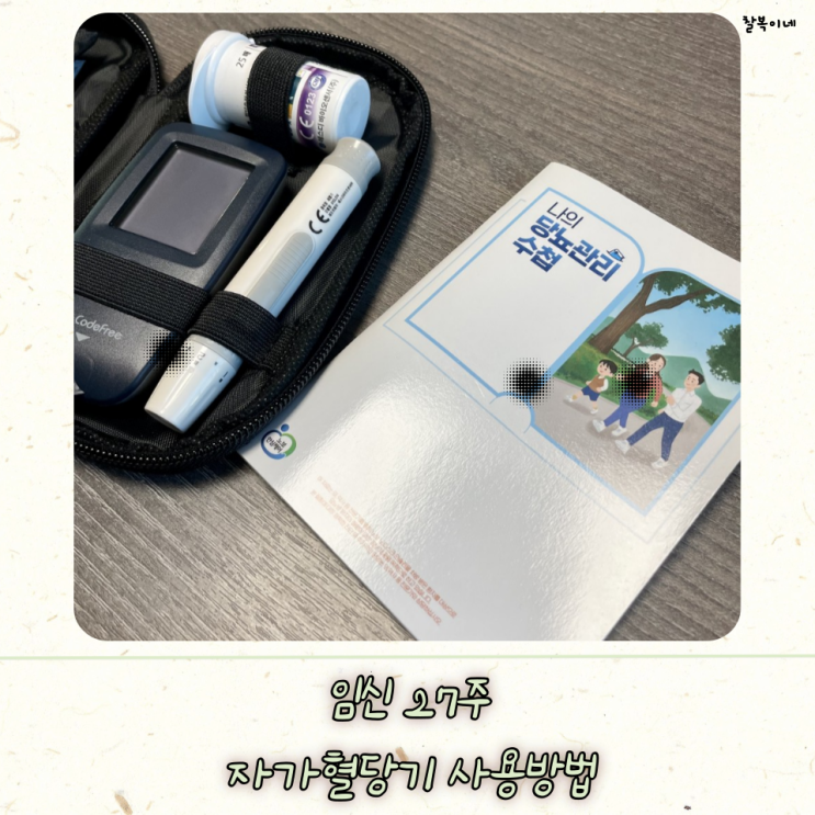 임당 확정 후 내과 진료 및 자가혈당측정기 사용방법과 사용팁 네이버 블로그