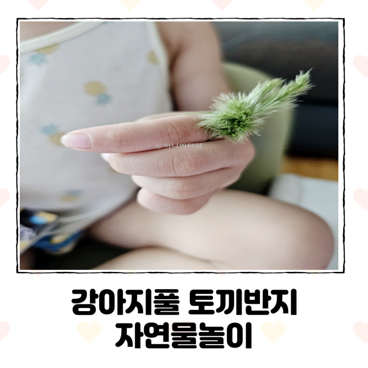 자연물놀이 강아지풀 토끼 반지만들기 14개월 아기 장난감 네이버 블로그
