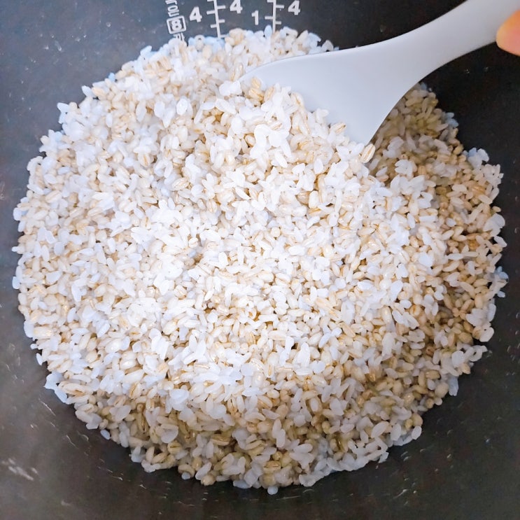 곤약밥 만들기 물 현미 귀리곤약밥짓기 만들기 곤약쌀 활용 요리법 레시피 다이어트밥 : 네이버 블로그