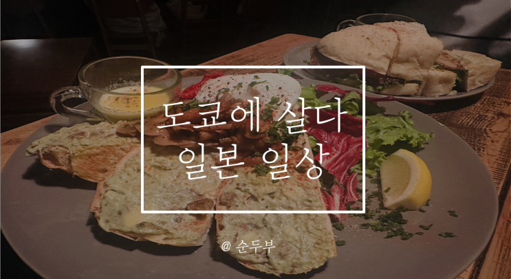 일본 도쿄 일상생활 9월 일식 가정식 점심 오모테산도 카페 히레카츠 산도 슈가 버터 크레페 맛집 디카페인 커피