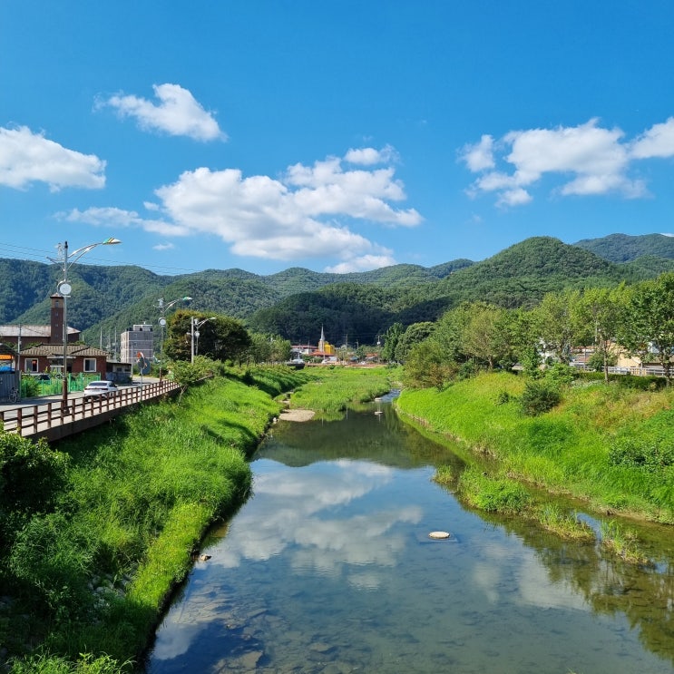 충북 괴산 써니밸리오토캠핑장 2박 3일 캠핑일지 2 청천면 푸른내시장 구경하고 밤에 별자리 본 날 나는야 여전히 양친놈