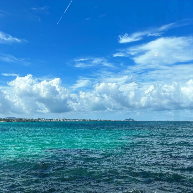 제주도 여행 제주도 서쪽 가볼만한 곳 한림해안도로 애월해안도로 협재해변 금능해변 협재해수욕장 숙소 블루스프링스