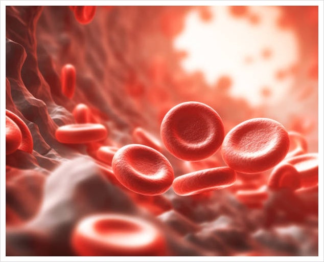 빈혈증상 7가지와 대처방법 : 네이버 블로그