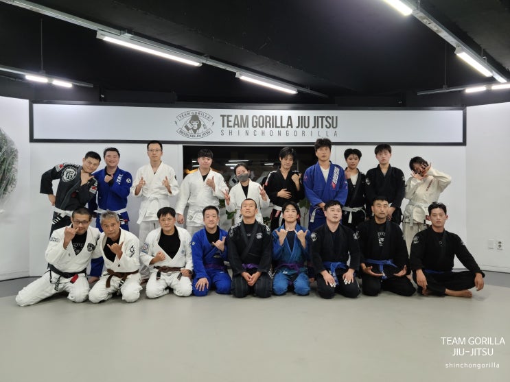 팀 고릴라주짓수 본관 용인수지주짓수전문체육관 용인수지고릴라주짓수 건강한 면역력을 위해 주짓수 운동하세요~ 네이버 블로그