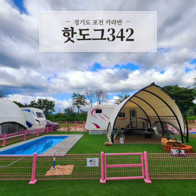 포천 강아지 수영장 운동장 있는 애견카라반 핫도그342애견카라반글램핑 네이버 블로그